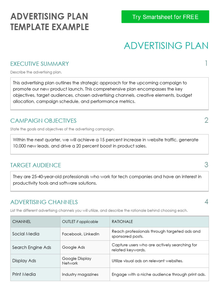 Advertising Plan Template Example | PDF | Advertising | Return On ...