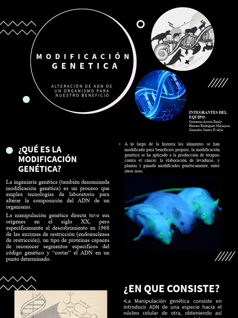 PWP Manipulación Genética... | PDF | Ingeniería genética | Genética