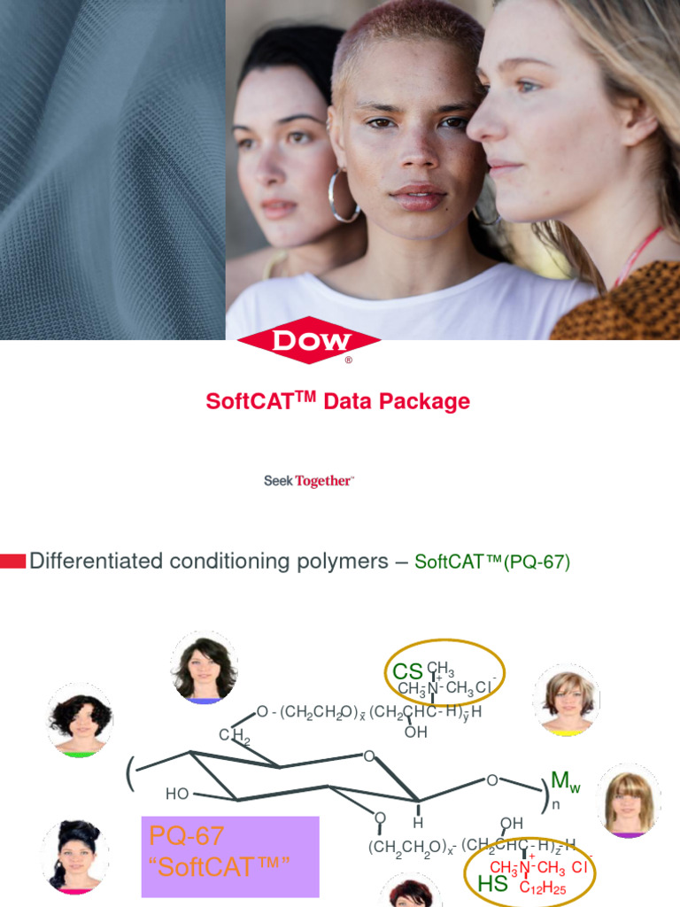 Softcat Dow Hair Care | PDF | Shampoo | Silicone