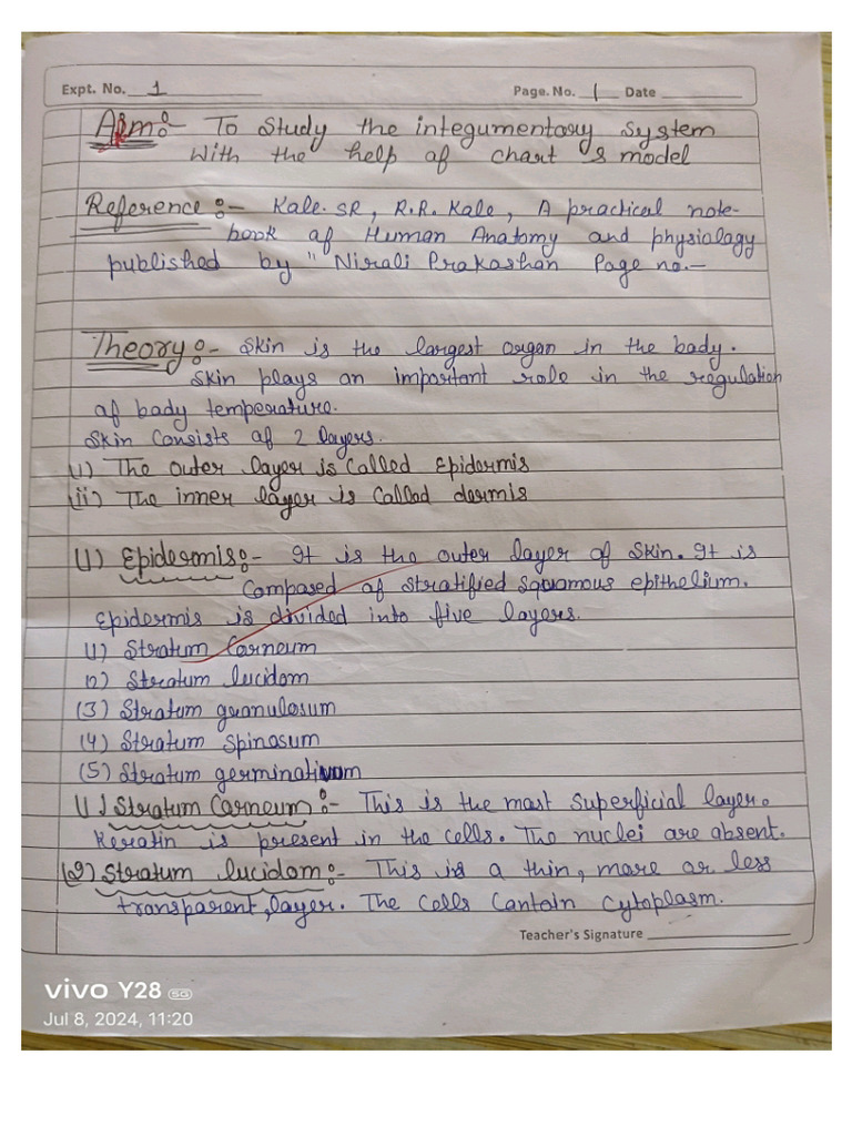 Human Anatomy ND Physiology (HAP) Practical File | PDF