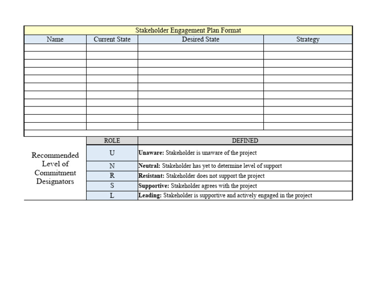 Stakeholder Engagement Plan Lab Worksheet | PDF