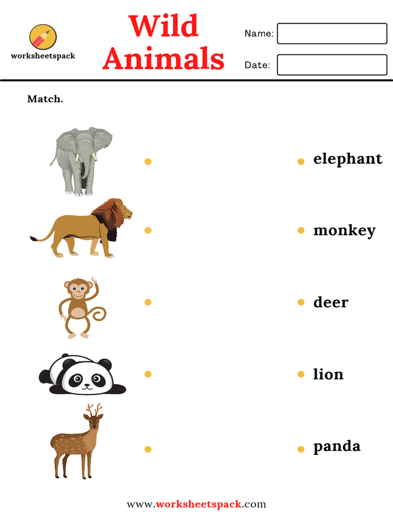 Wild Animals Worksheets | PDF | Zoology