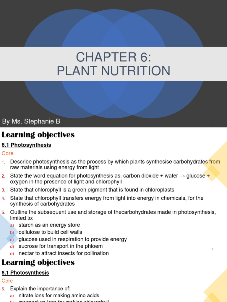 Chapter 6 Bio | PDF | Photosynthesis | Leaf