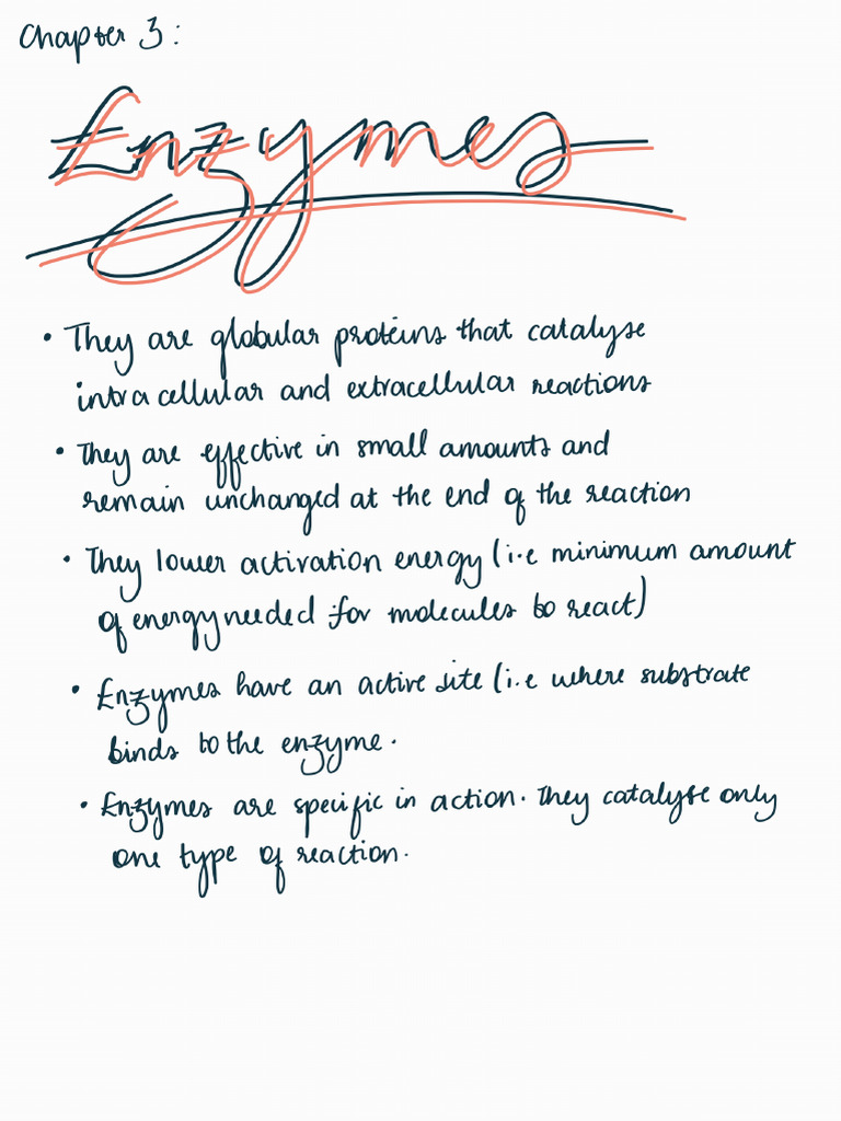 Biology Notes Enzymes - 240317 - 221029 | PDF