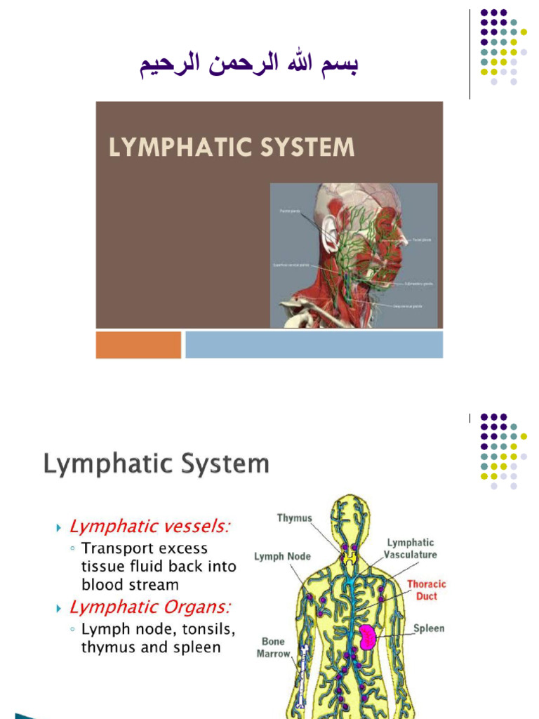 lymphatic system | PDF | Lymph Node | Lymphatic System