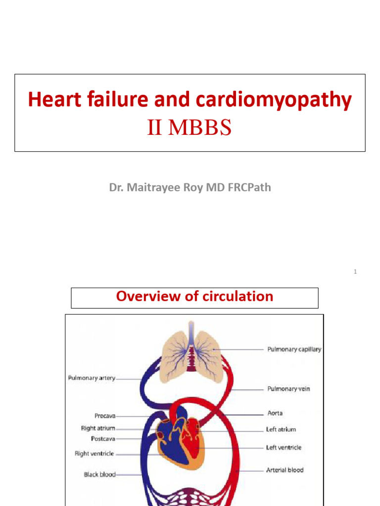 Heart Failure and Cardiomyopathy Overview | PDF | Heart Failure ...