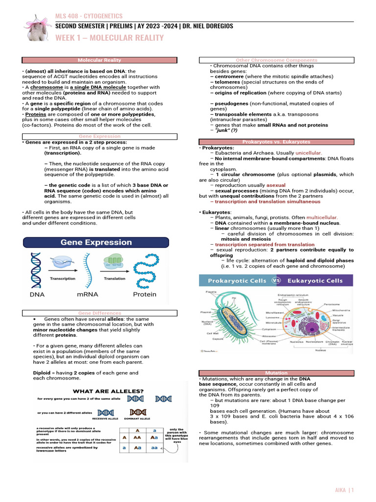 Cytogen Week 1 Introduction To Cytogenetics Part 2 | PDF | Gene | Cell ...