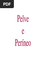 Tipos de Pelve e Suas Características | PDF