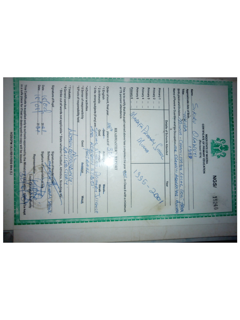 Primary Certificate | PDF