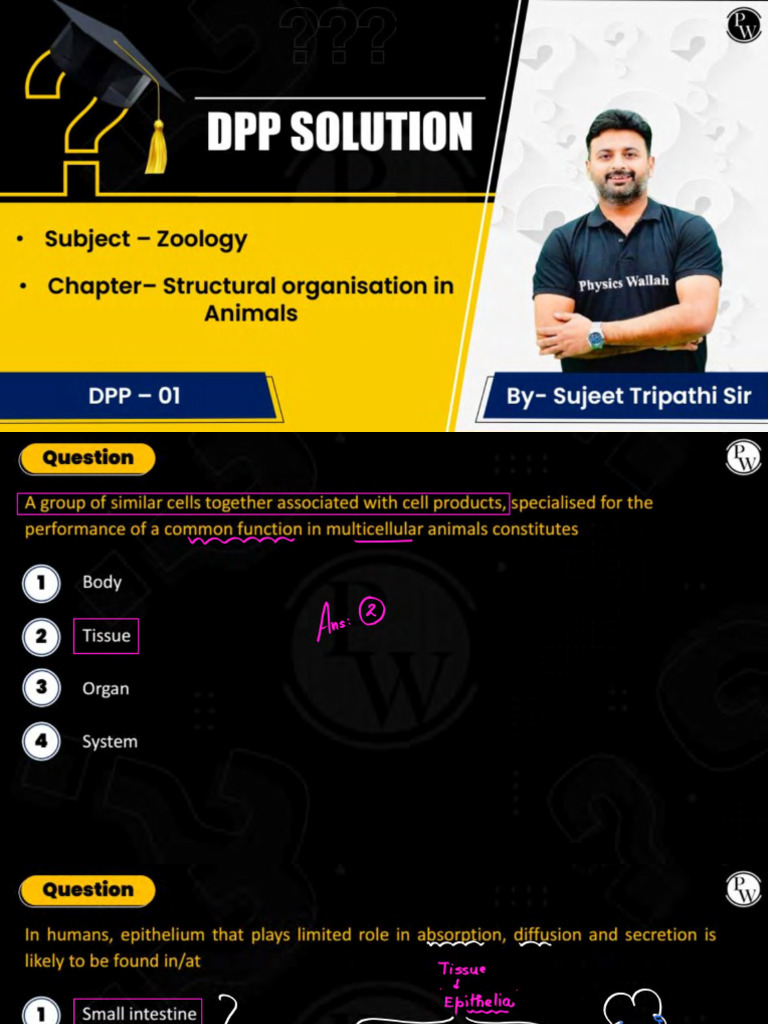 Structural Organisation in Animals DPP 01 Solution Notes Yakeen | PDF