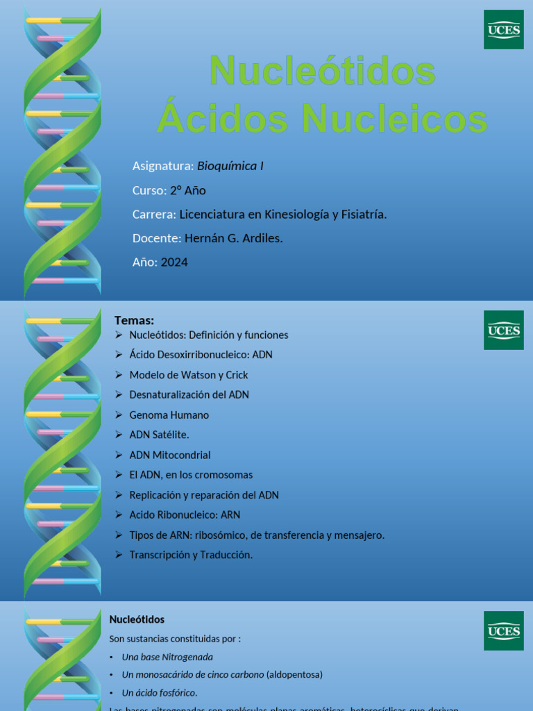 Ácidos Nucleicos | PDF | Adn | Rna