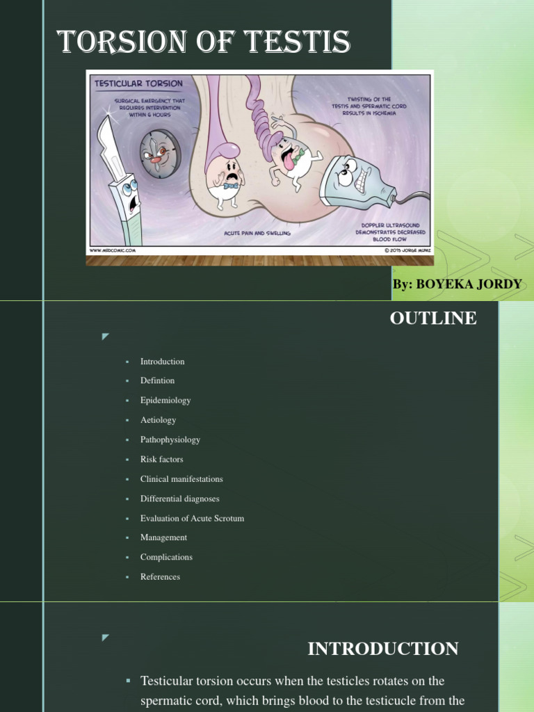 Torsion of Testis | PDF | Diseases And Disorders | Testicle