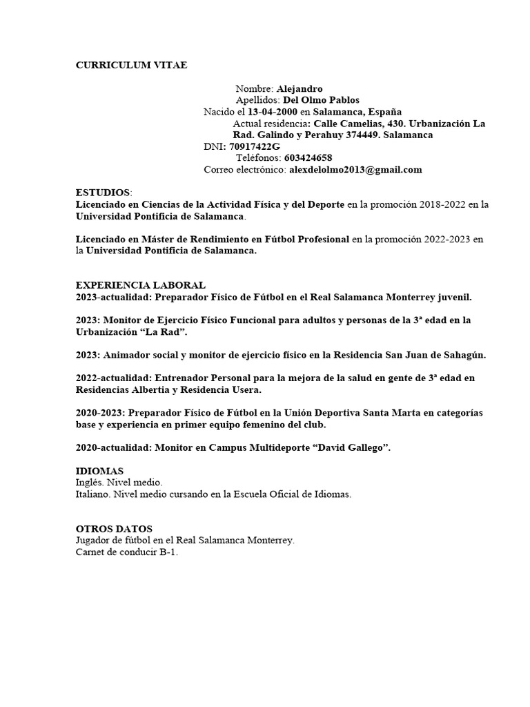 Curriculum Vitae Iván Del Olmo (Actualizado) | PDF