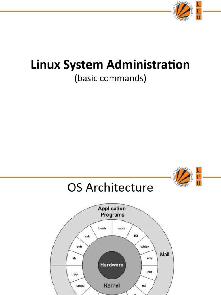 Basic Commands CSE493 | PDF | Command Line Interface | Shell (Computing)