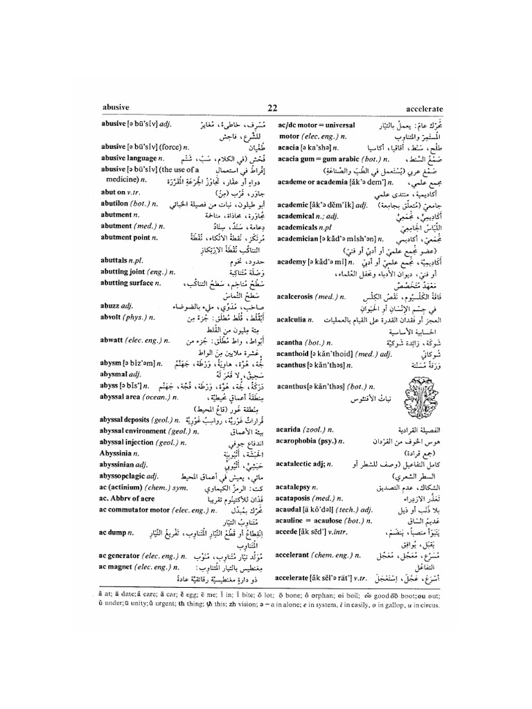 The Dictionary English-Arabic 2 | PDF