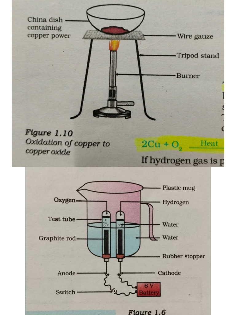 All Diagrams Class 10th | PDF