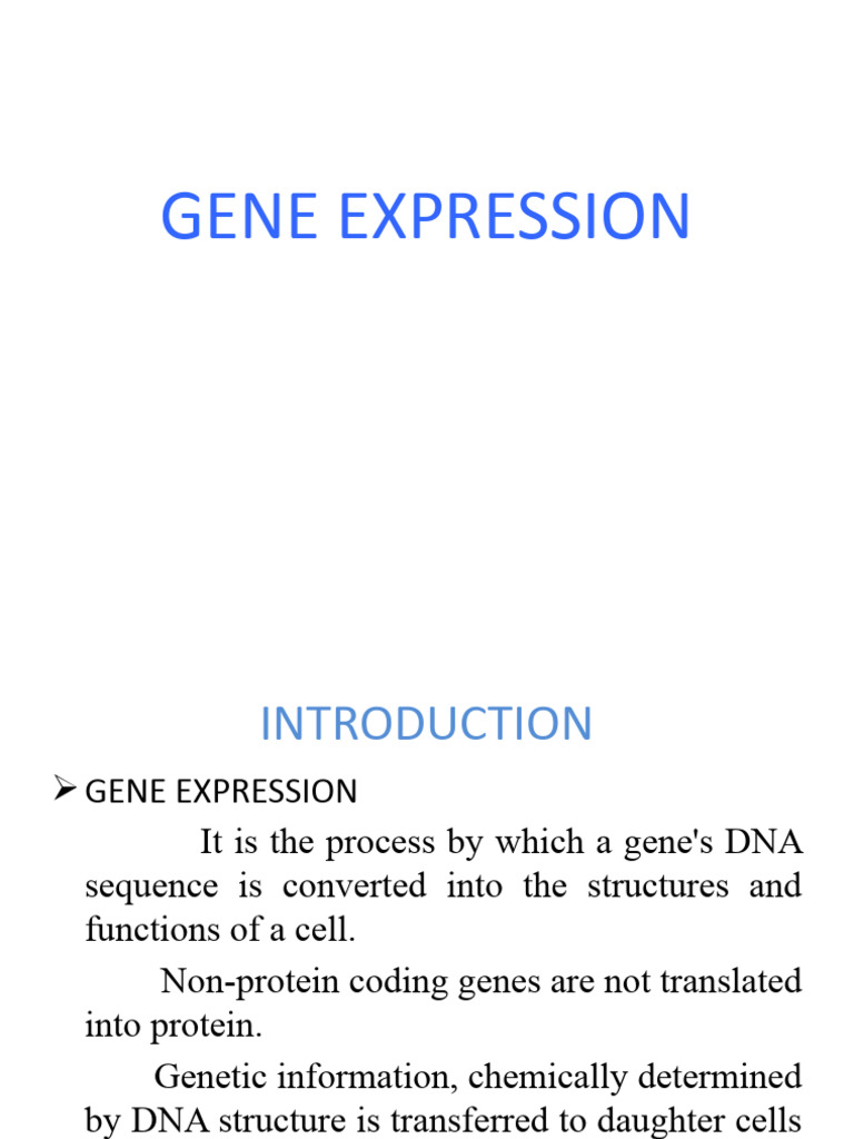 Gene Expression | PDF | Ribosome | Rna