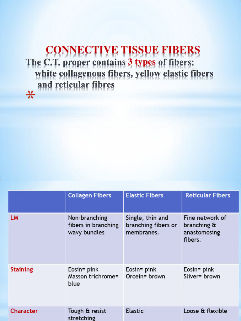 Connective Tissue 2 | PDF | Connective Tissue | Extracellular Matrix
