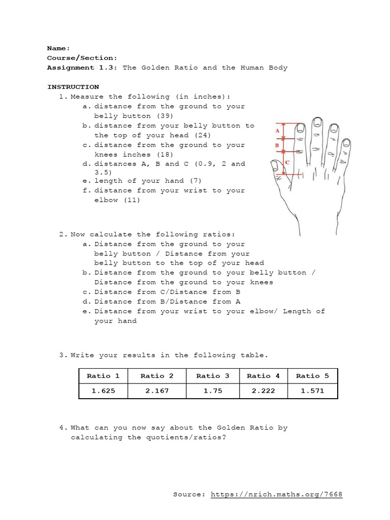 The Golden Ratio and the Human Body | PDF