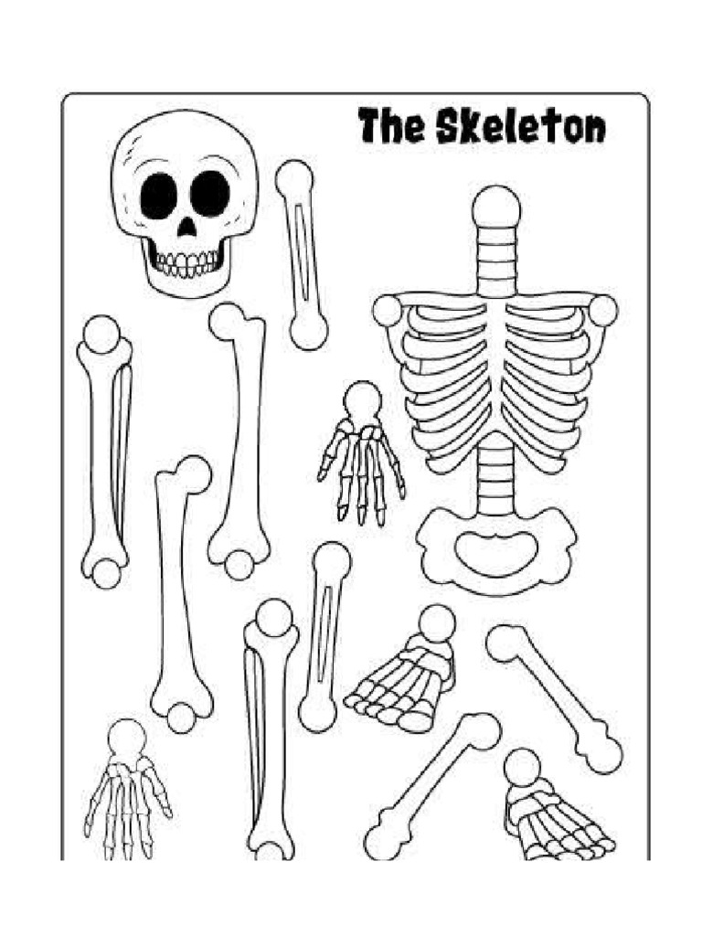 Grade 4 Collected Paper Bones | PDF