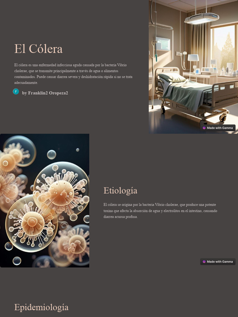 El-Colera Paula y franklin | Descargar gratis PDF | Diarrea | Cólera