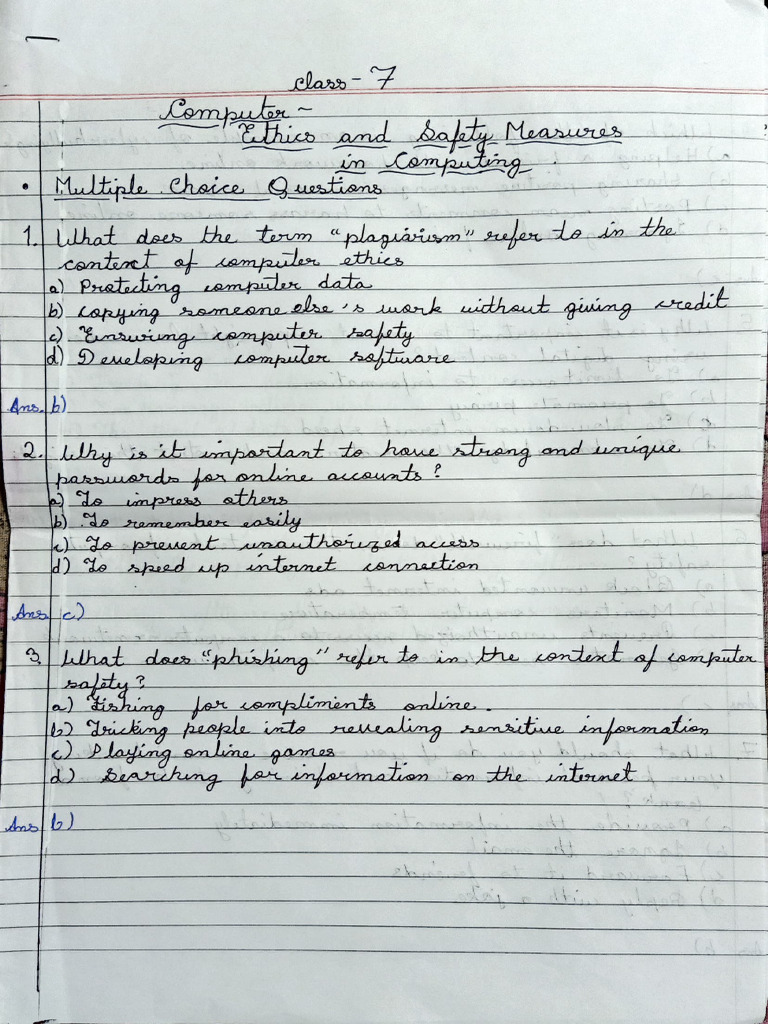 Computer Safety Measures for Class 7 | PDF