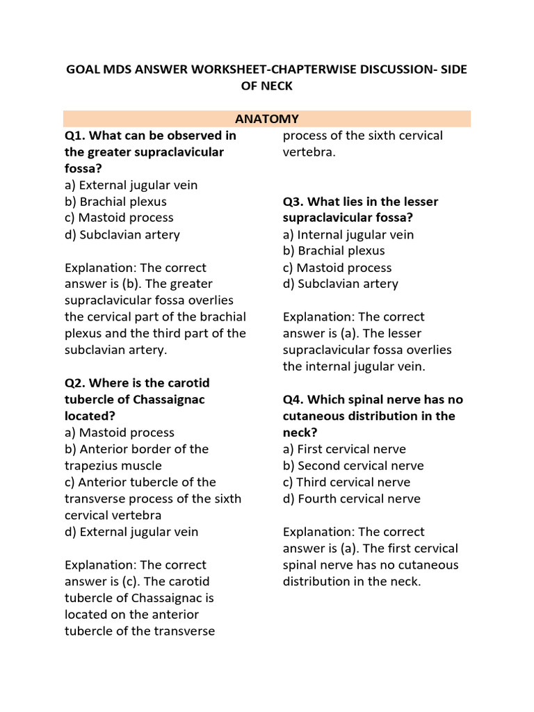 Side of Neck - Answer Worksheet | PDF | Common Carotid Artery | Neck