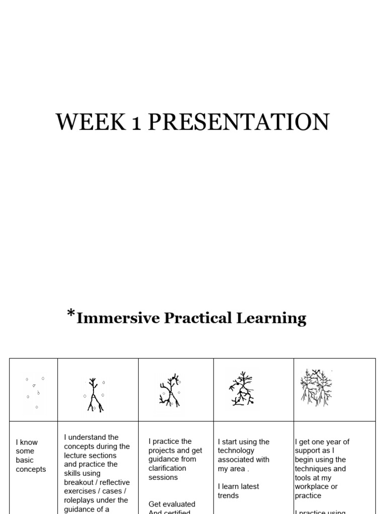 Week 1 Overview: MEHR Learning Journey | PDF