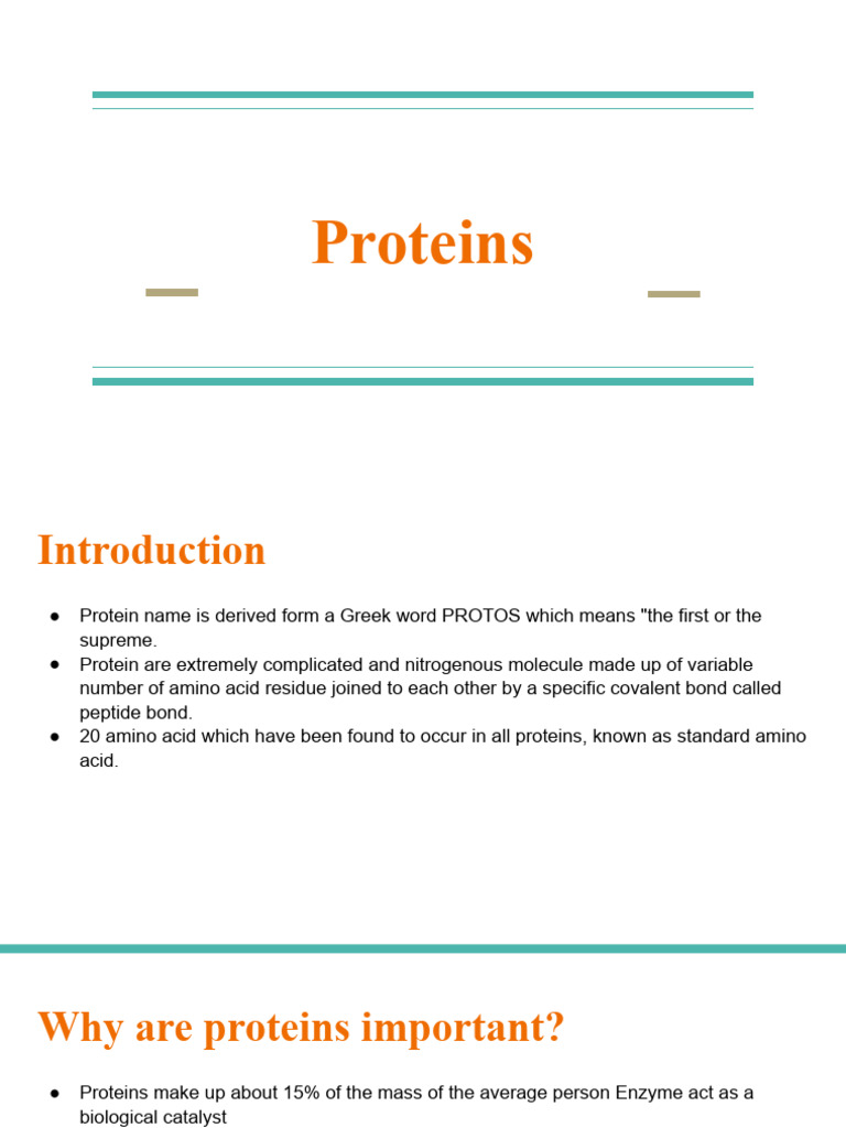 Proteins | PDF | Proteins | Protein Structure