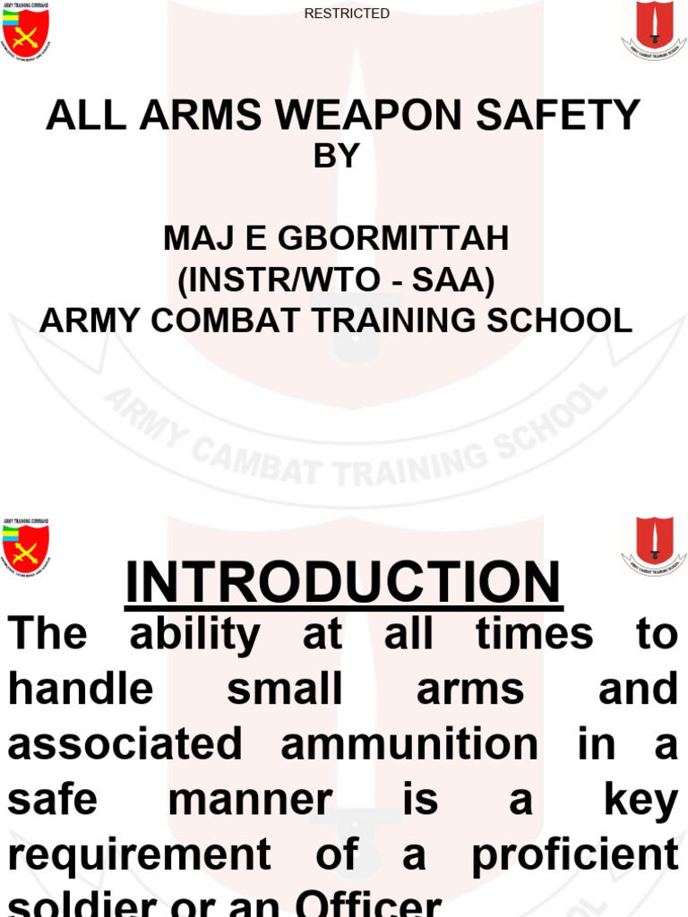 Small Arms Weapon Safety Guide | PDF | Ammunition | Military Technology