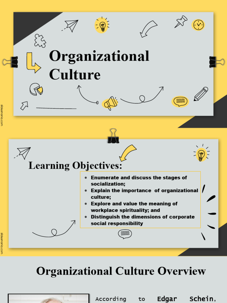 Understanding Organizational Culture | PDF | Organizational Culture | Goal