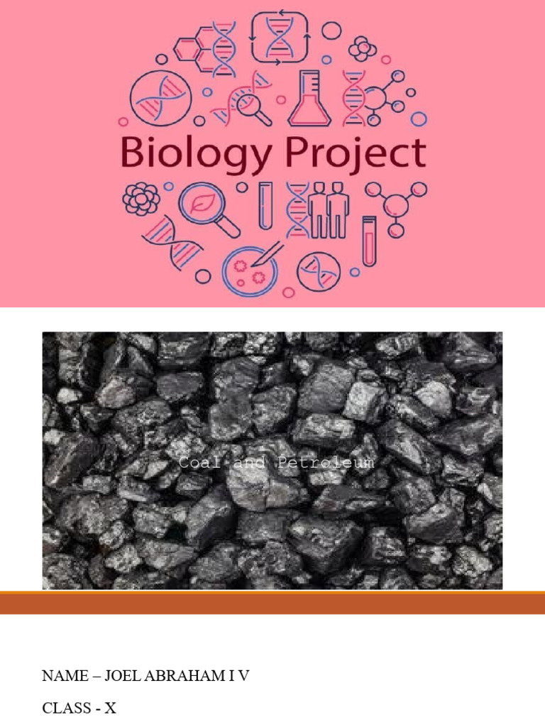 Biology Portfolio | PDF | Coal | Petroleum