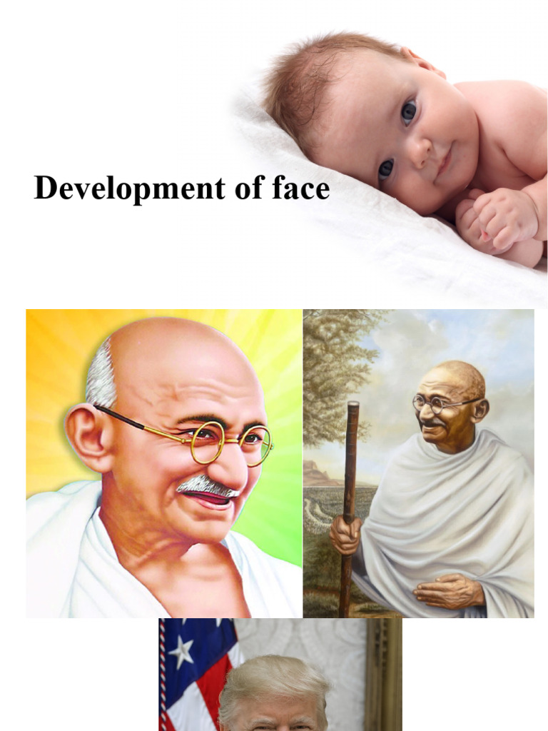 Development of Face | PDF | Human Nose | Facial Features