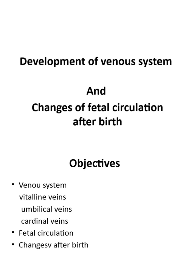 Embryonic Venous System Development | PDF | Vein | Fetus