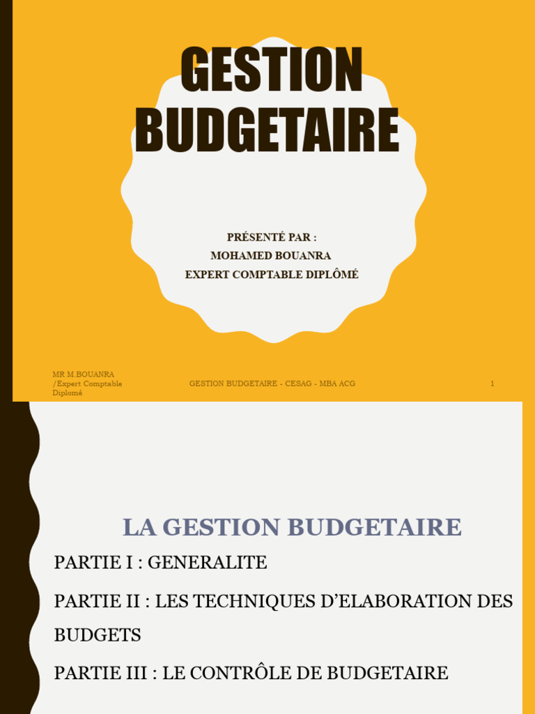 Gestion Budgetaire Mba Acg | PDF | Budget | Inventaire