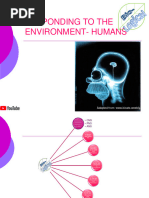 Grade 12 Electrodynamics Guide | PDF | Electromagnetic Induction | Electric Generator