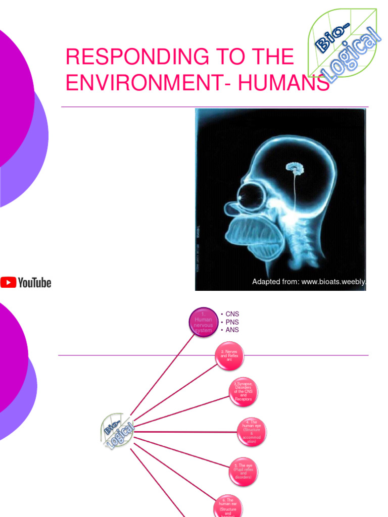 Responding To The Environment - Humans NEW 2022 Aligned To DBE Textbook ...
