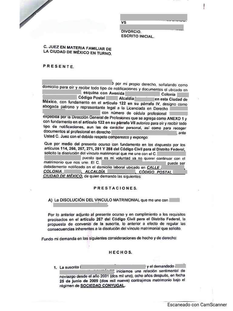 Solicitud de Divorcio (Machote) | PDF