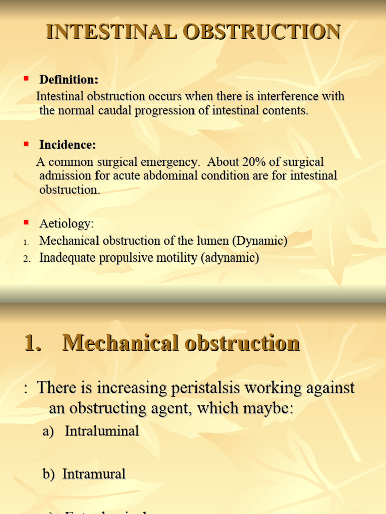Intestinal Obstruction Stephen | PDF | Digestive System | Digestive ...