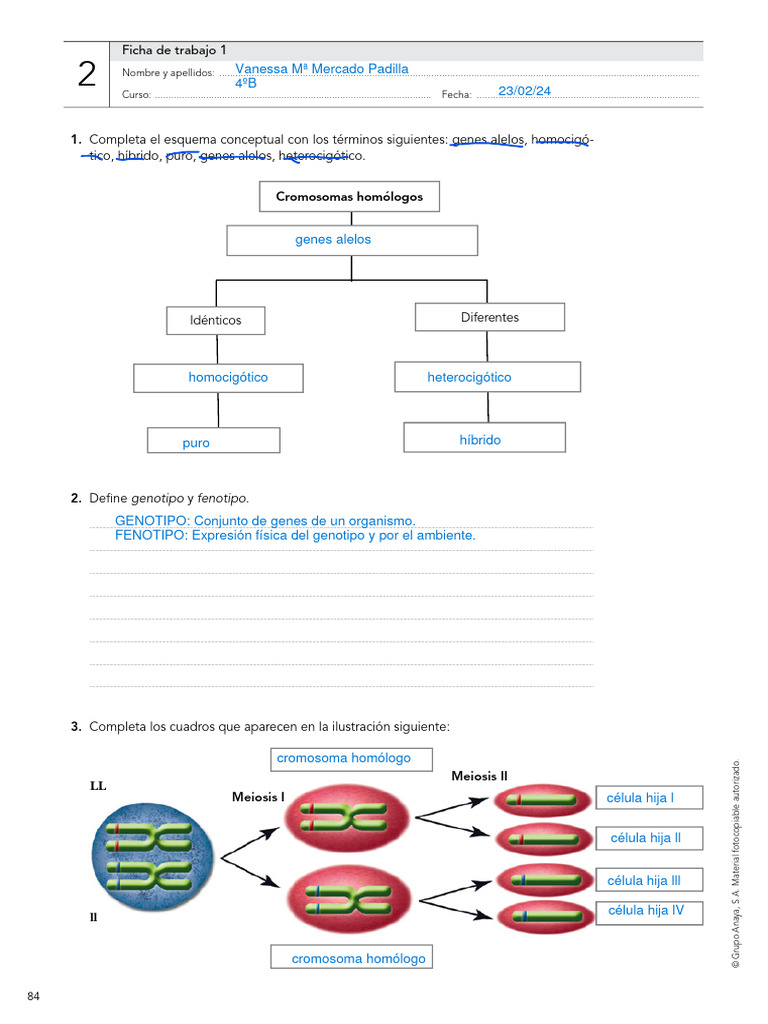 Ficha Anaya | PDF | Dominancia (Genética) | Cigosidad