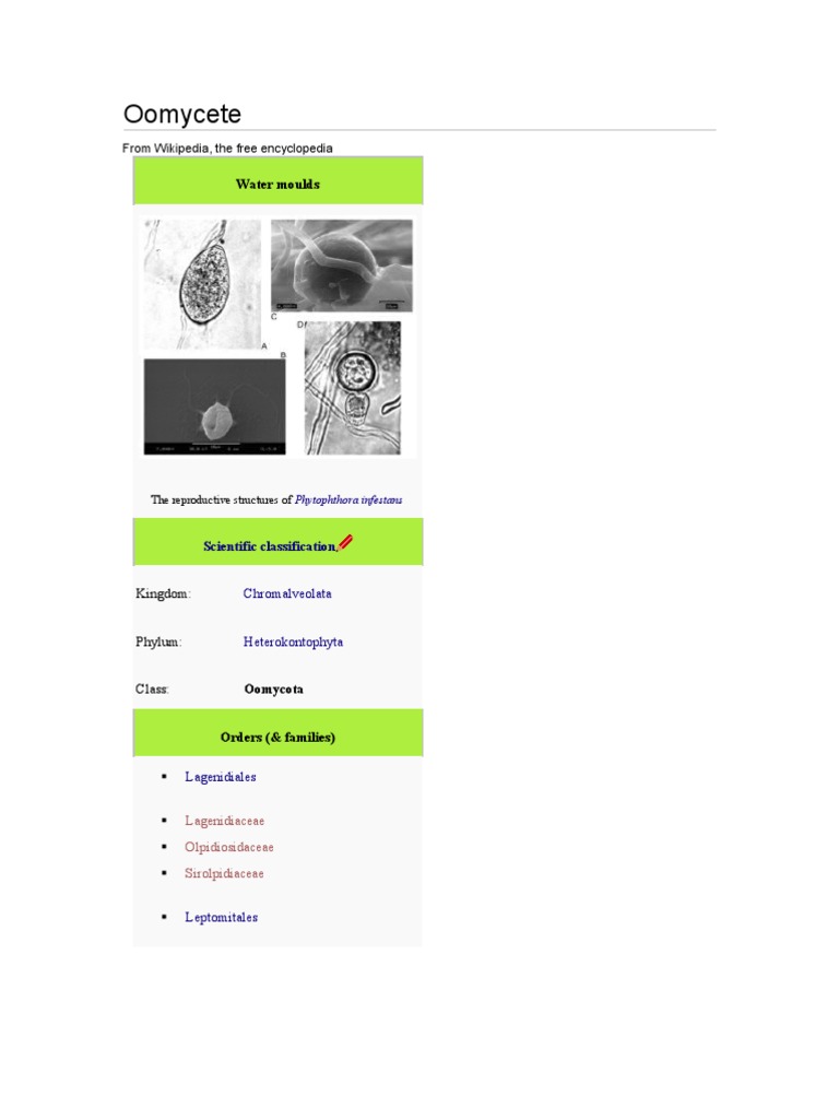 Oomycete | PDF | Botany | Plants