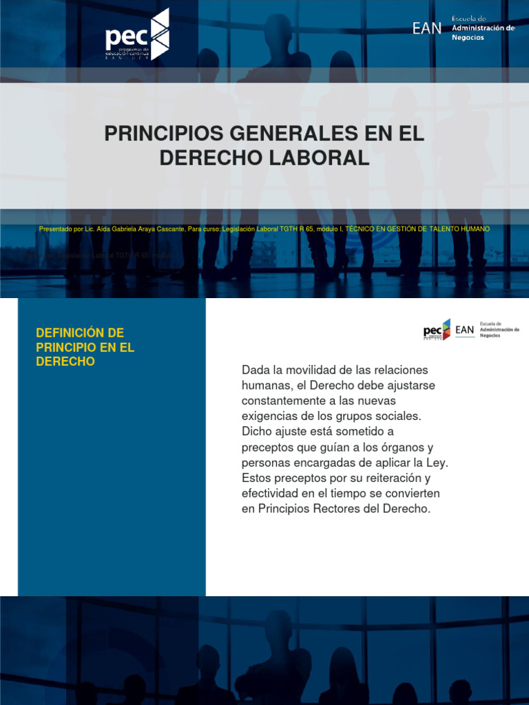 Principios Generales en El Derecho Laboral | PDF | Derecho laboral
