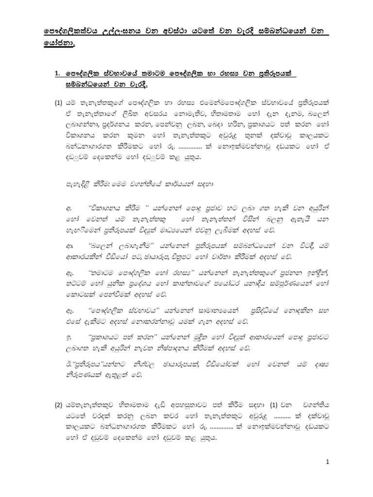 Violating Privacy Si | PDF