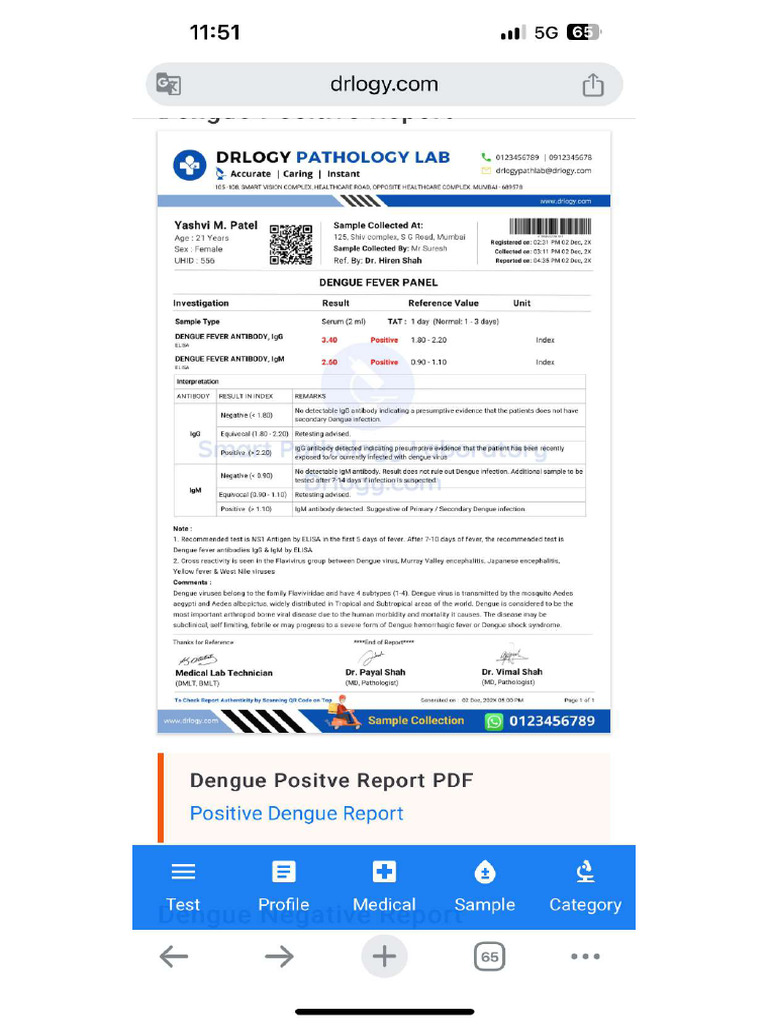 positive report | PDF