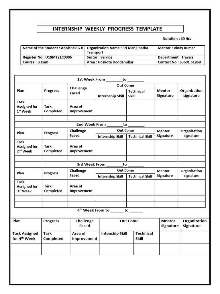 Internship Weekly Progress Report | PDF