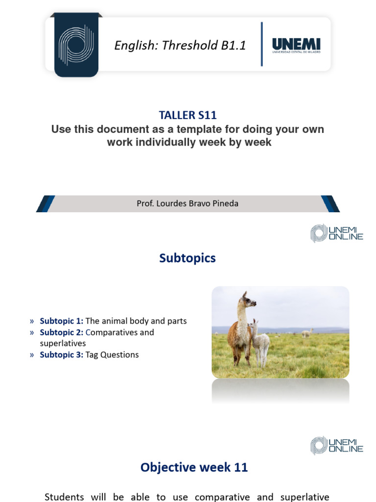 Unit 3 Topic 2 - Taller S11 | PDF | Linguistics