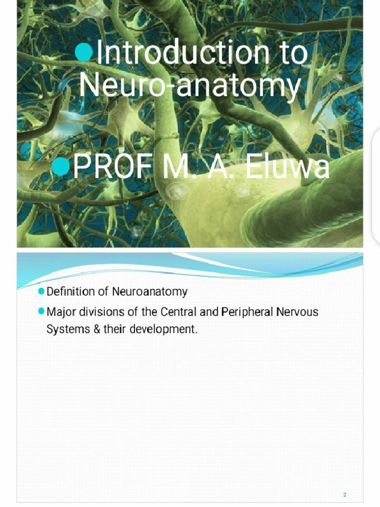 Intro To Neuro DR Eluwa | PDF