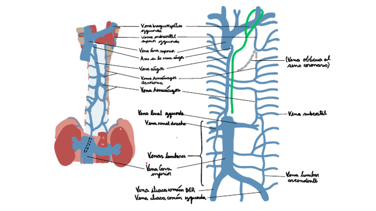 Sistema Ácigos | PDF