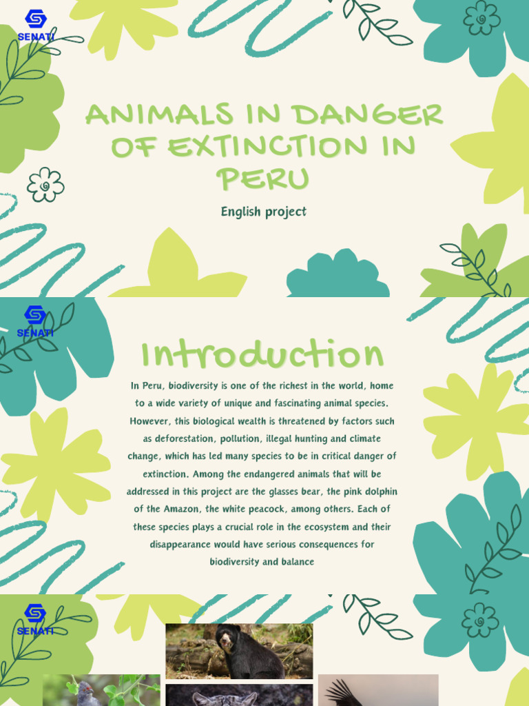 Presentación Diapositivas | PDF | Ecology | Natural Environment