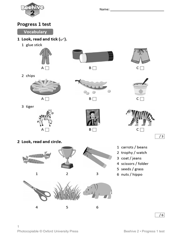 Beehive 2 Progress 1 Test | PDF